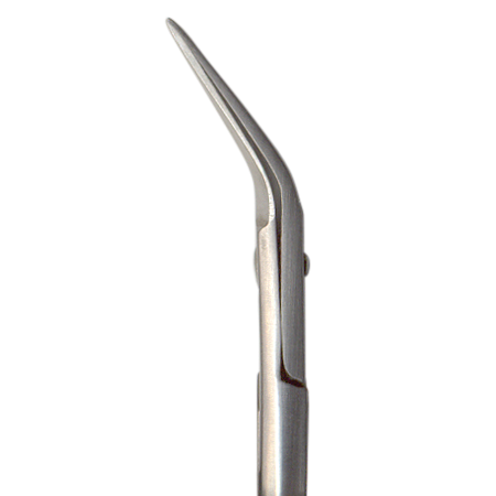 Wilmer Converse Scissors. Anthony Products