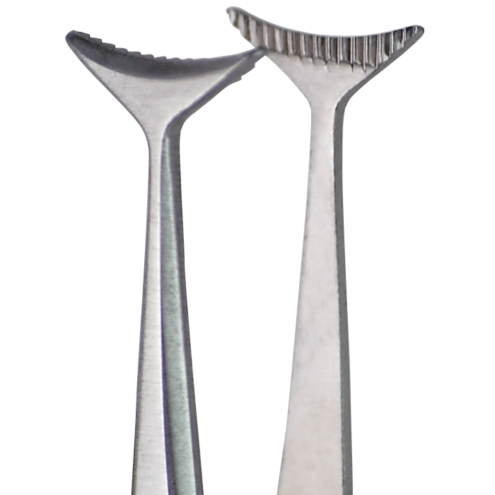 Green Fixation Forceps. Anthony Products