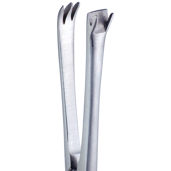 D'Assumpcao Face Lift Forceps. Anthony Products
