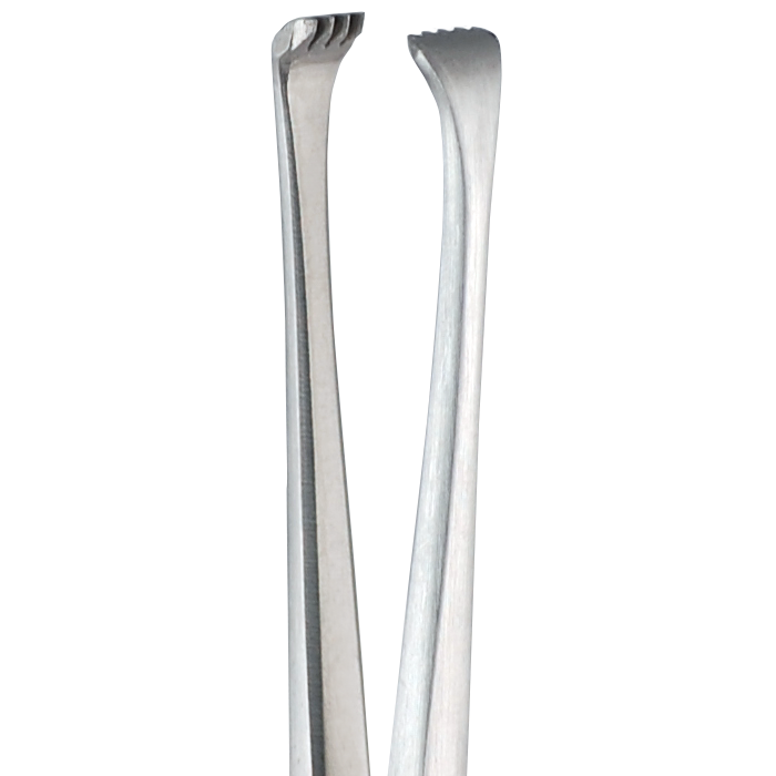 Allis Tissue Forceps. Anthony Products